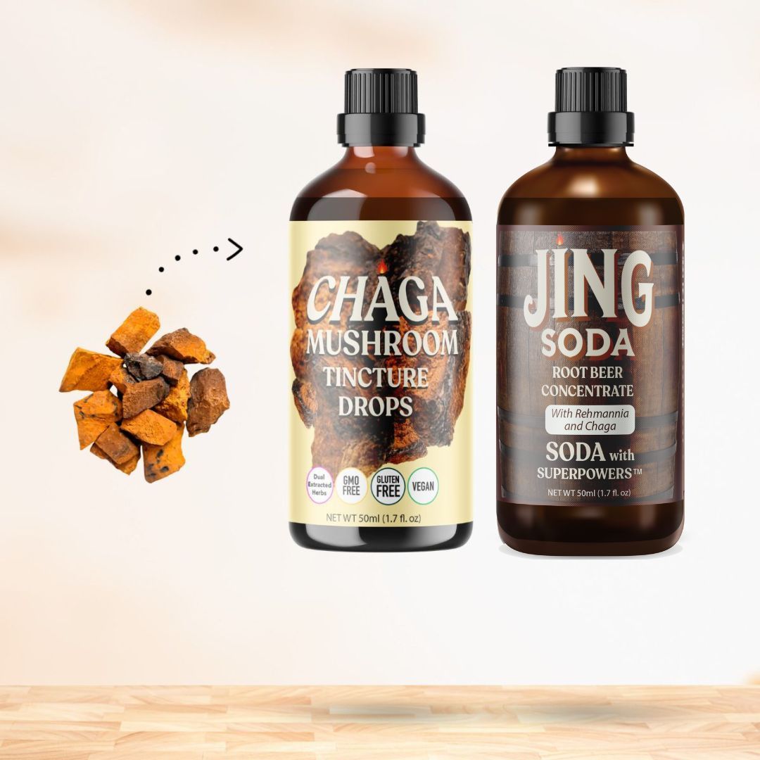Root Beer Chaga Boost Bundle – Jing Soda®